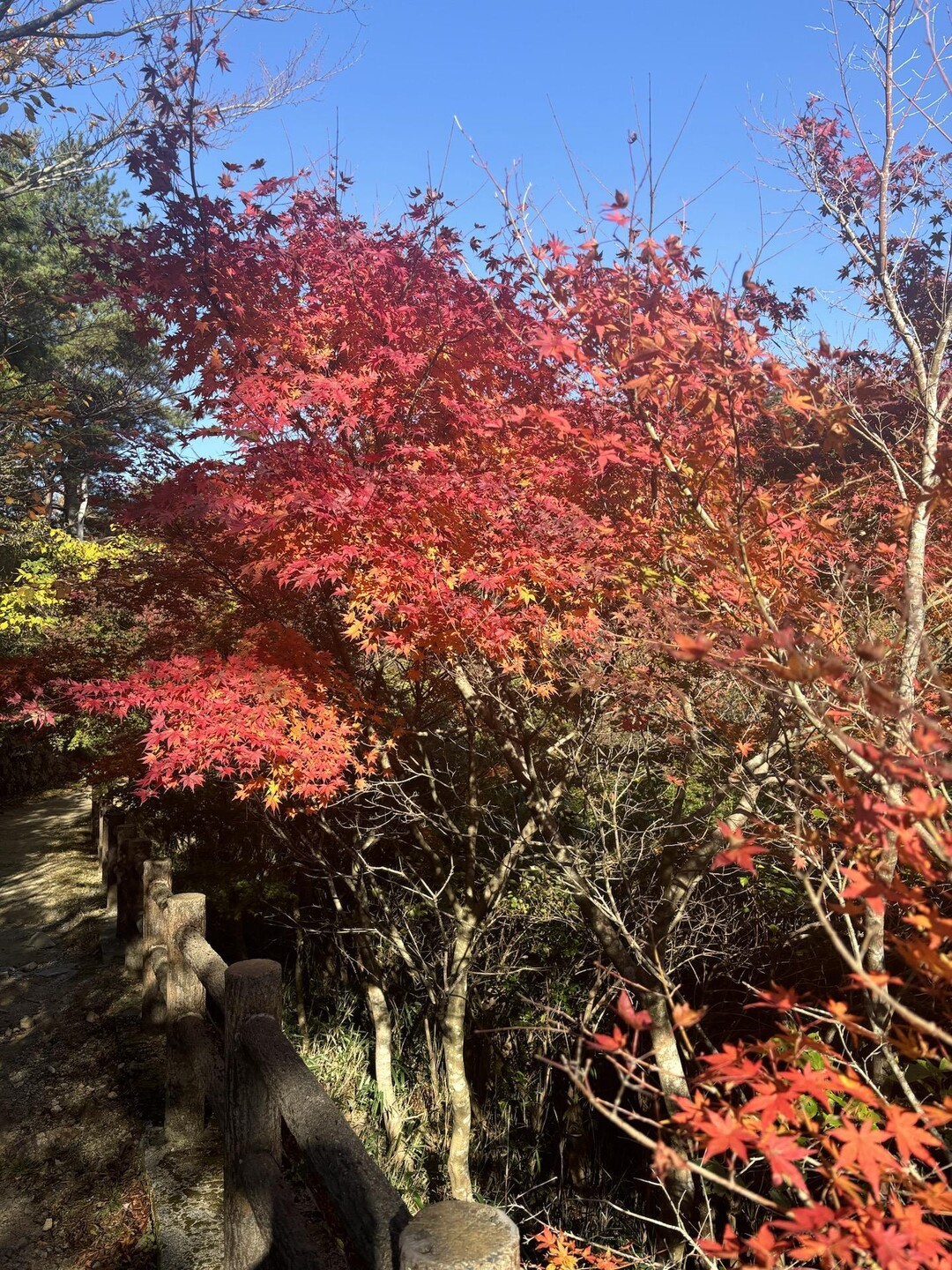摩耶山・摩耶別山・六甲山・後鉢巻山・水無山・大平山・譲葉山西峰・譲葉山南峰・譲葉山・岩倉山 / volcan actifさんの六甲山・長峰山 ...