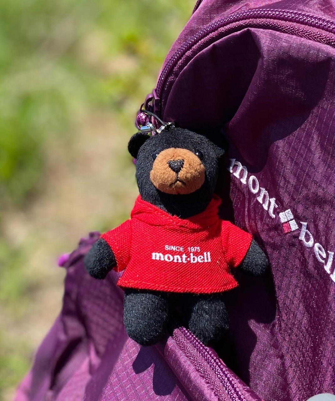 haruruのページ | YAMAP / ヤマップ