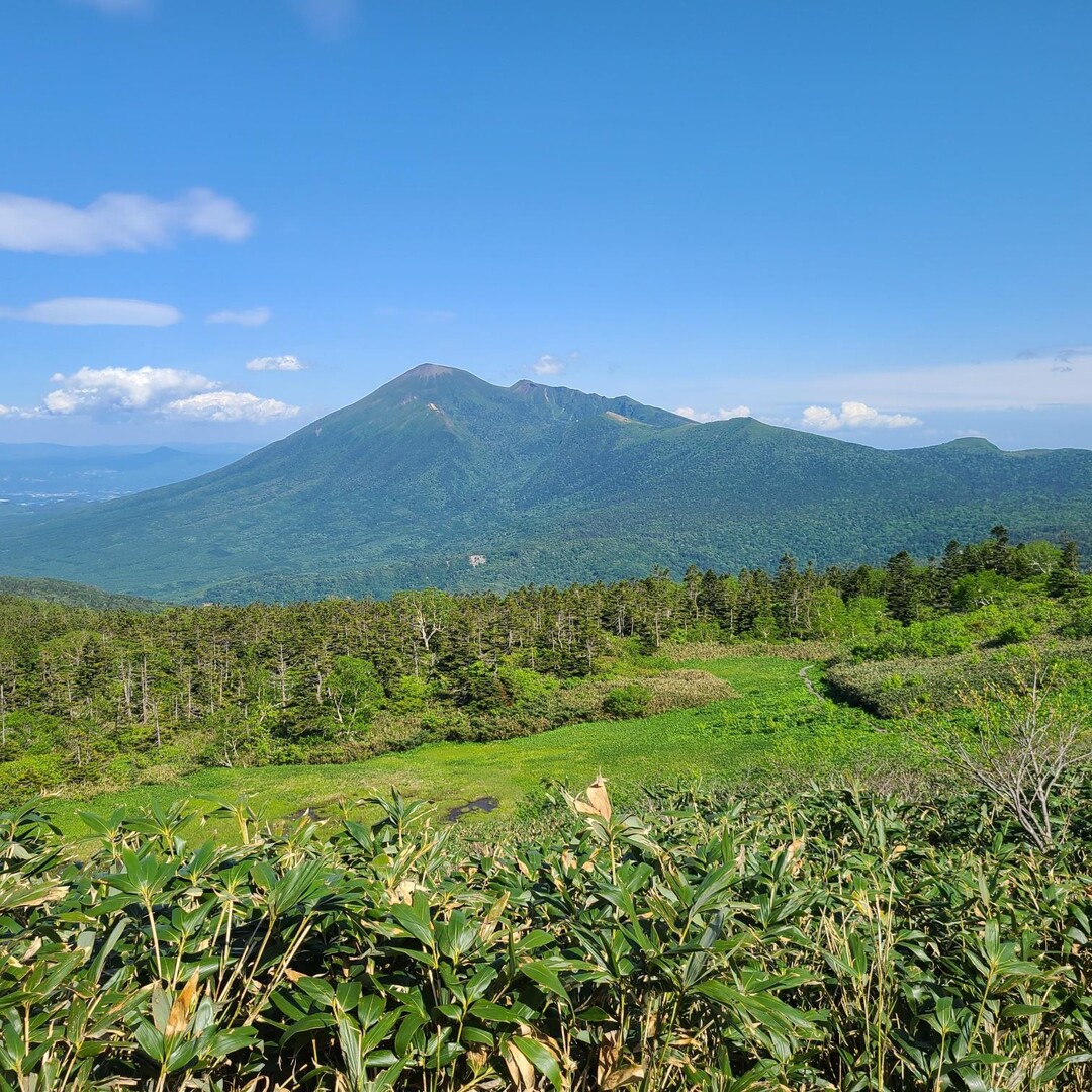 岩手 大深山荘 / hide-bonさんの三ッ石山・大深岳・諸桧岳の活動データ | YAMAP / ヤマップ