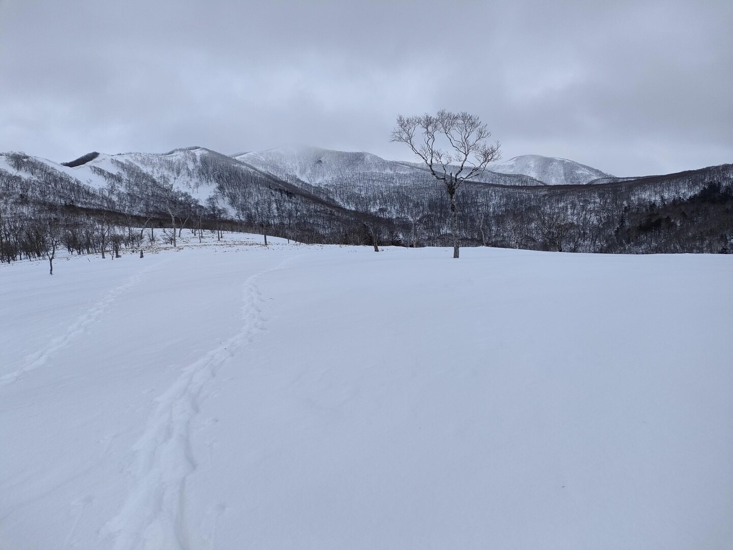 清里峠付近と養老牛温泉付近を冬装備でトレーニング / maekaoさんの養老牛岳の活動データ | YAMAP / ヤマップ
