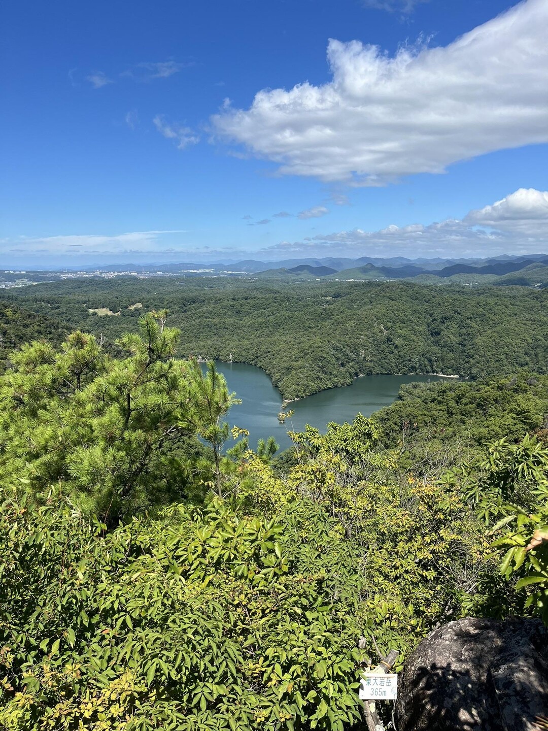 大岩岳と丸山湿原のサギソウ / ORIEさんの大岩岳の活動データ | YAMAP / ヤマップ