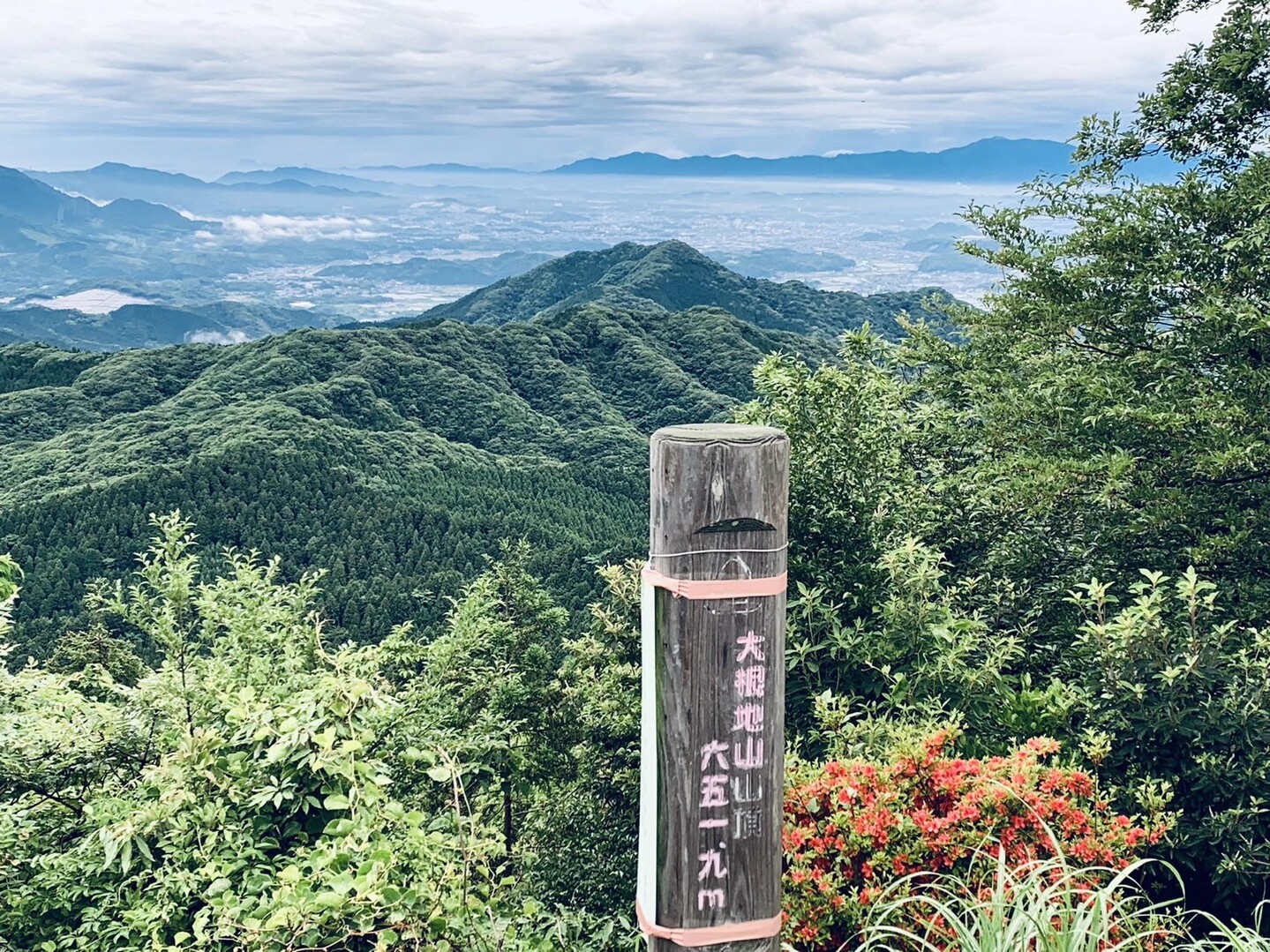 大根地山 ︎ 茶臼山 縦走 / masaroyさんの大根地山の活動データ | YAMAP / ヤマップ
