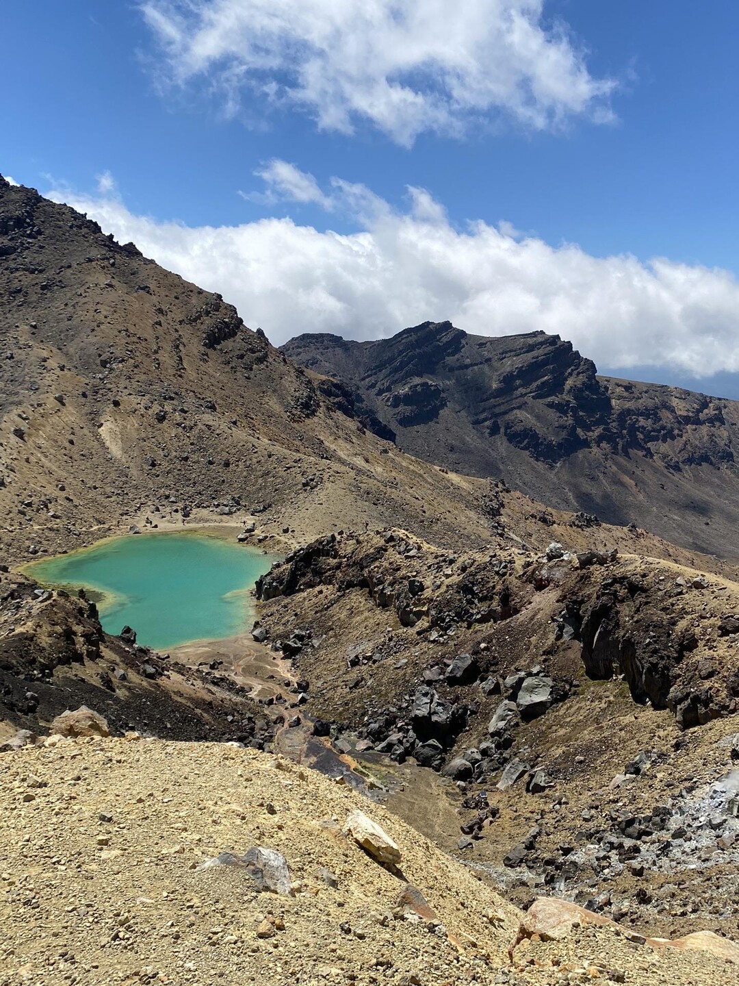 トンガリロ・ノーザン・サーキット-2024-01-13 / mayuさんのトンガリロ・ノーザン・サーキットの活動データ | YAMAP / ヤマップ