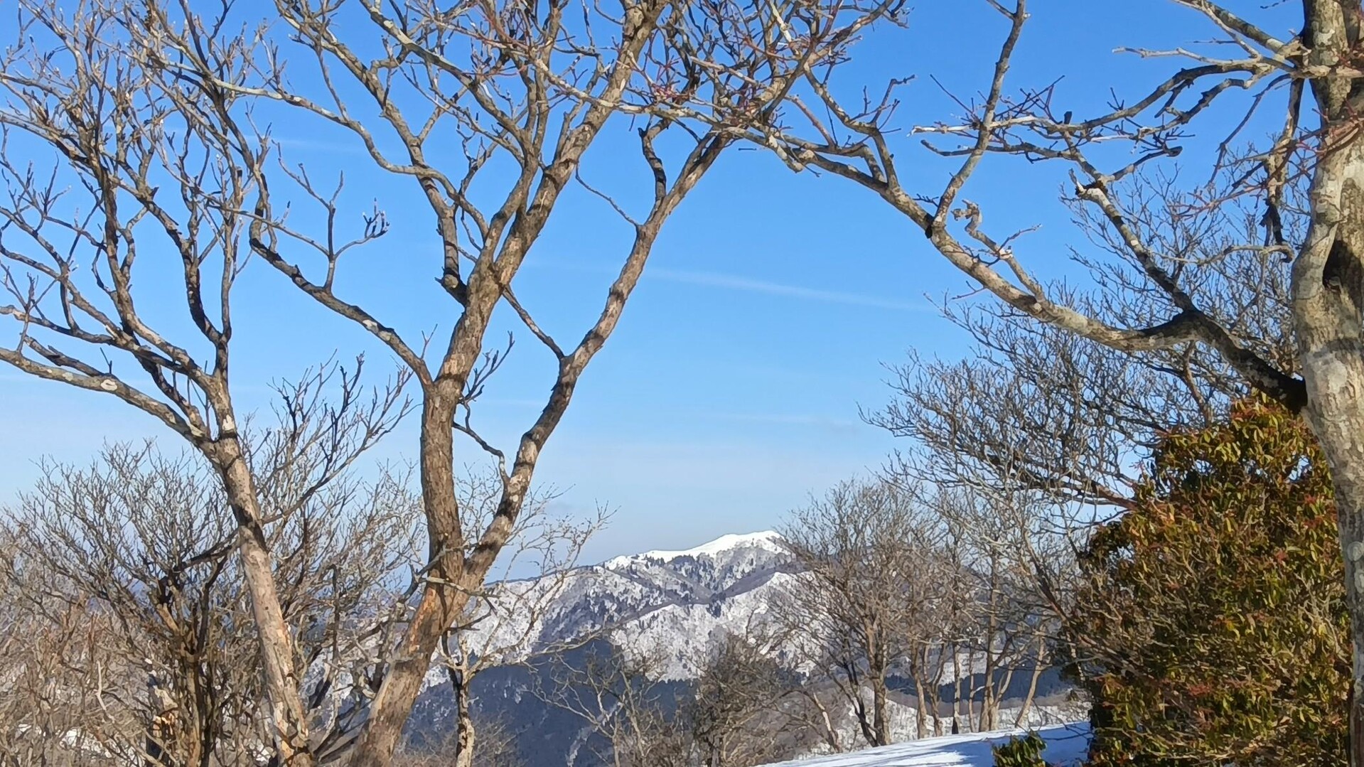 打見山・蓬莱山・森山岳 / kikiさんの比良山地・武奈ヶ岳・釈迦岳の活動データ | YAMAP / ヤマップ