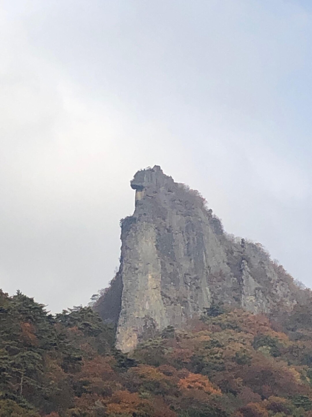クマさんに遭遇！子持山 / BOさんの子持山の活動データ | YAMAP / ヤマップ