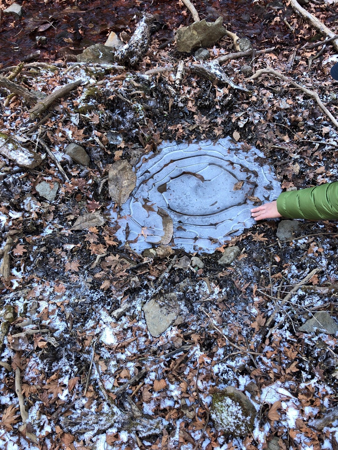 明神ヶ岳 / tykmktさんの金時山・明神ヶ岳の活動データ | YAMAP / ヤマップ