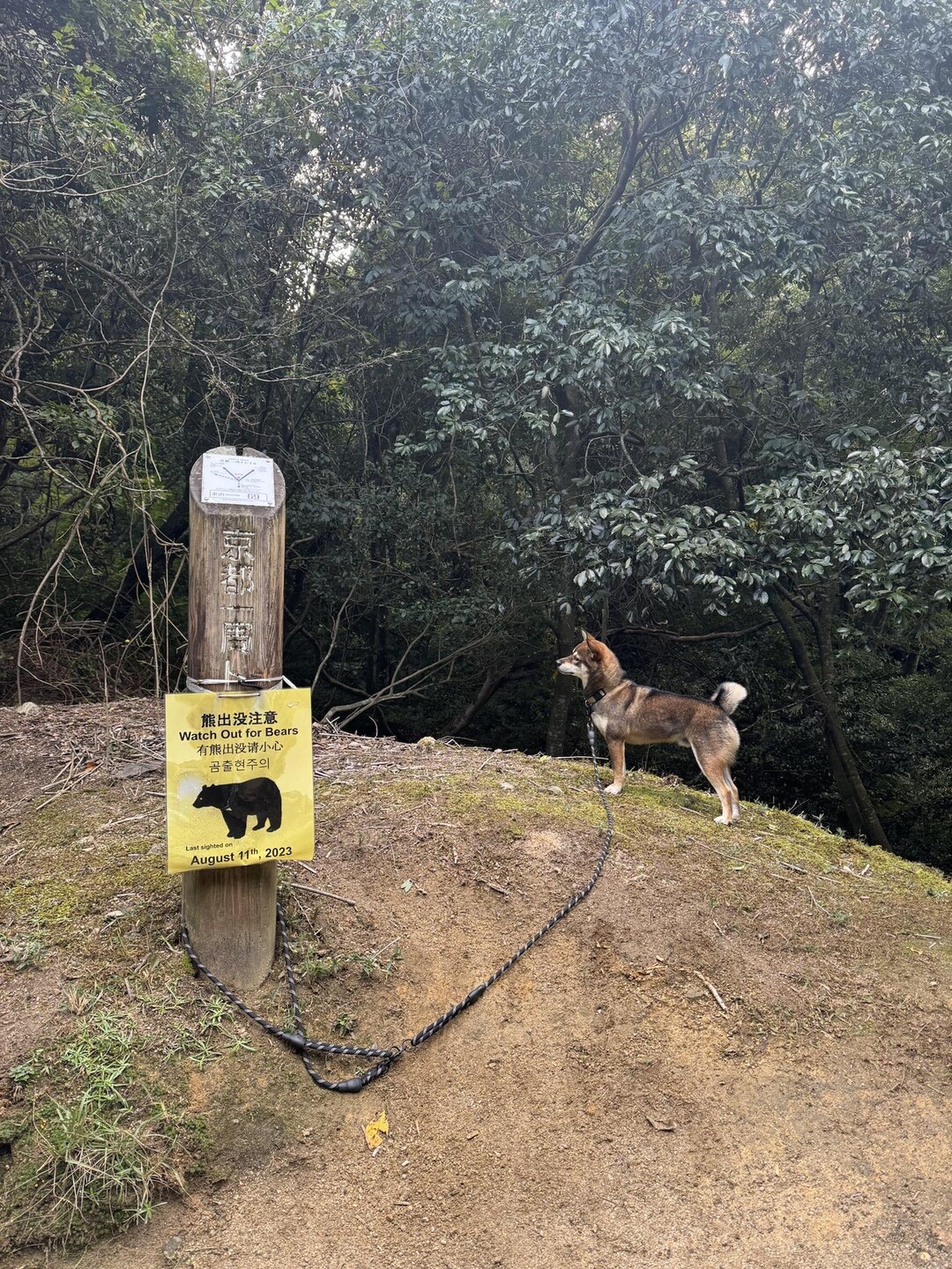 修学院山 / 105sunさんの比叡山・横高山・梶山の活動データ | YAMAP / ヤマップ