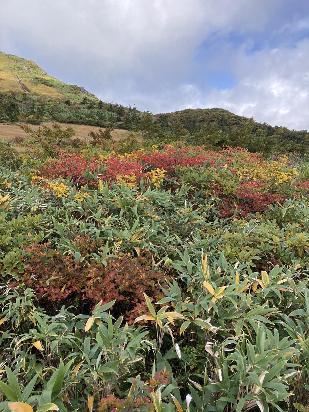 秣岳・栗駒山(須川岳) / tae0218さんの栗駒山（須川岳）・秣岳・虚空蔵山の活動データ | YAMAP / ヤマップ