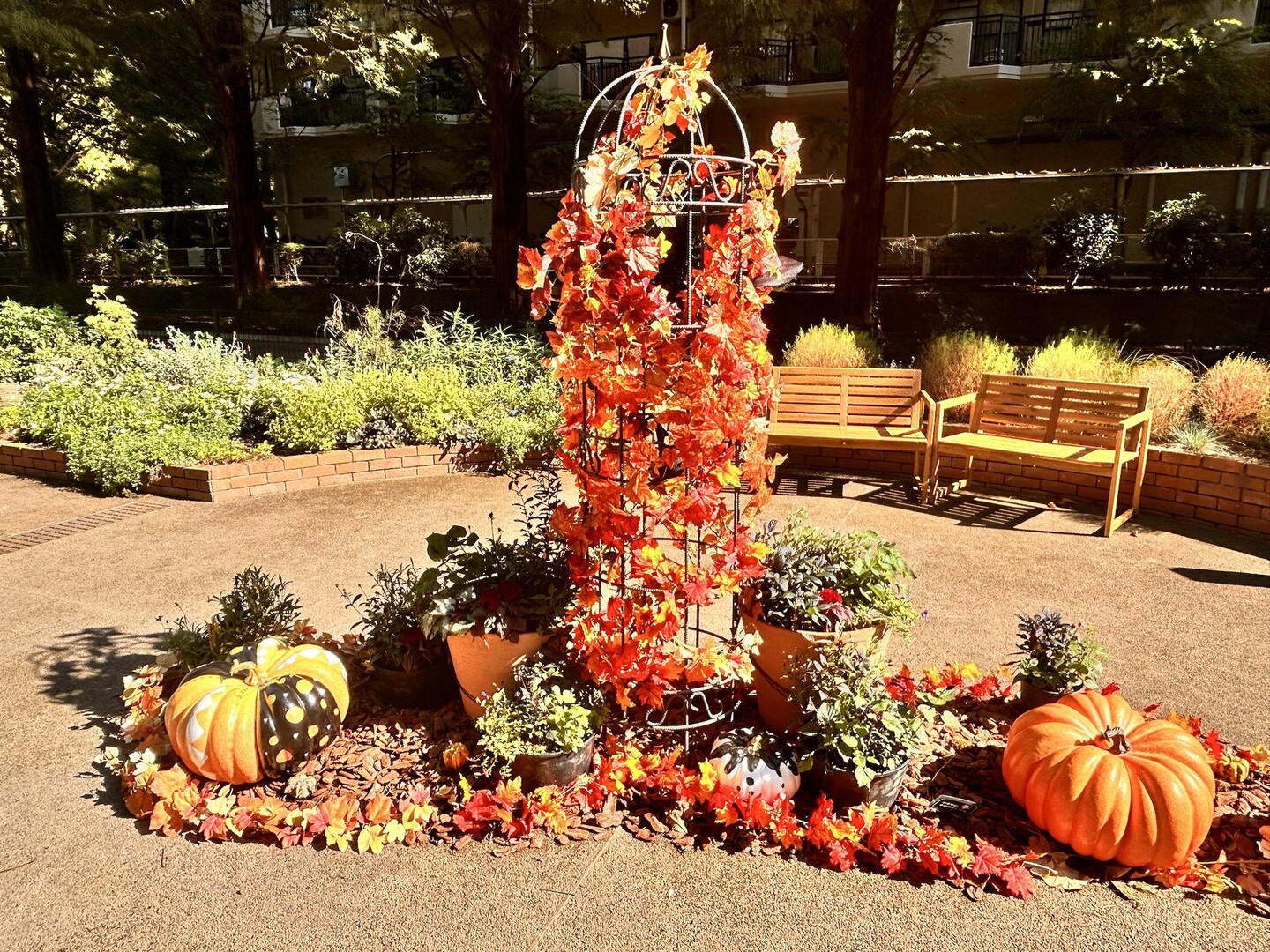 光ヶ丘にある"四季の香ローズガーデン"に... / NORIHIROさんのモーメント | YAMAP / ヤマップ