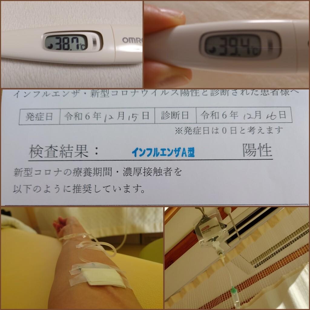 先週の日曜日（12/15）に飯南の大サザ... / ともさんのモーメント | YAMAP / ヤマップ