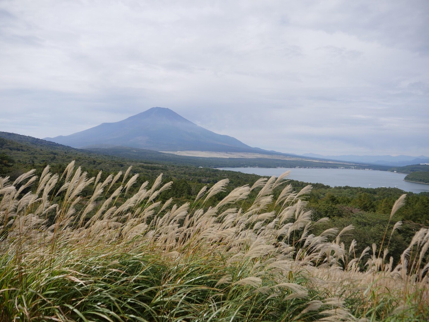 1日遅れのバースデー登山は富士山を見ながら秋を感じた、鉄砲木ノ頭(明神山)・三国山 / syorinさんの三国山の活動データ | YAMAP / ヤマップ