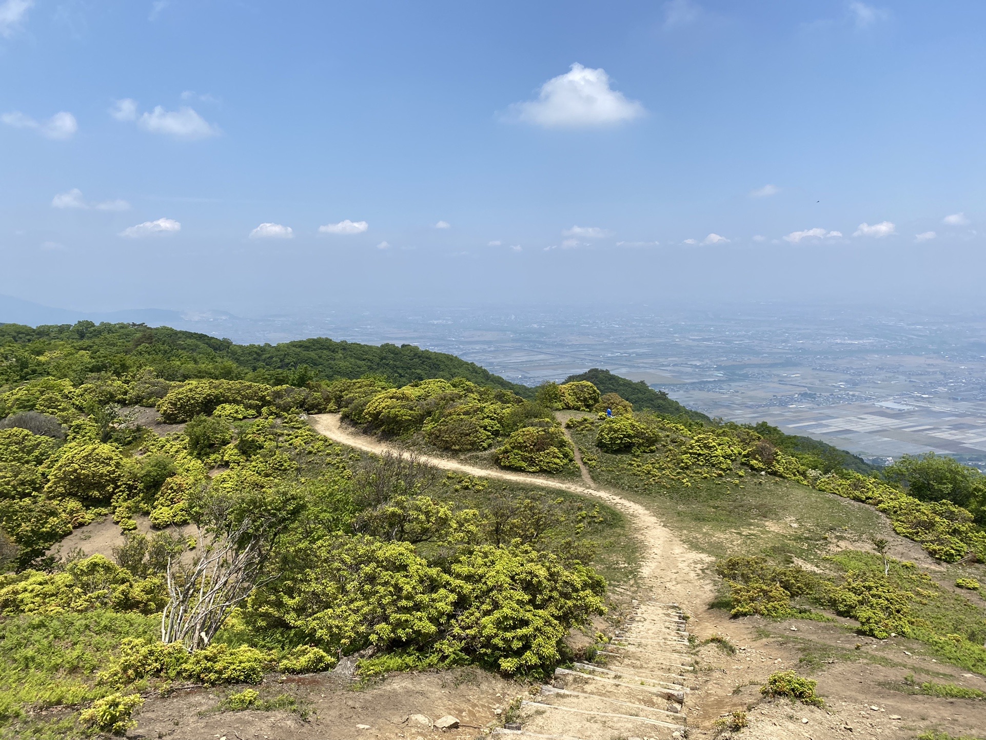 三方山・小倉山・養老山・北尾根P826峰 / rinpeさんの養老山・笙ヶ岳・三方山の活動データ | YAMAP / ヤマップ