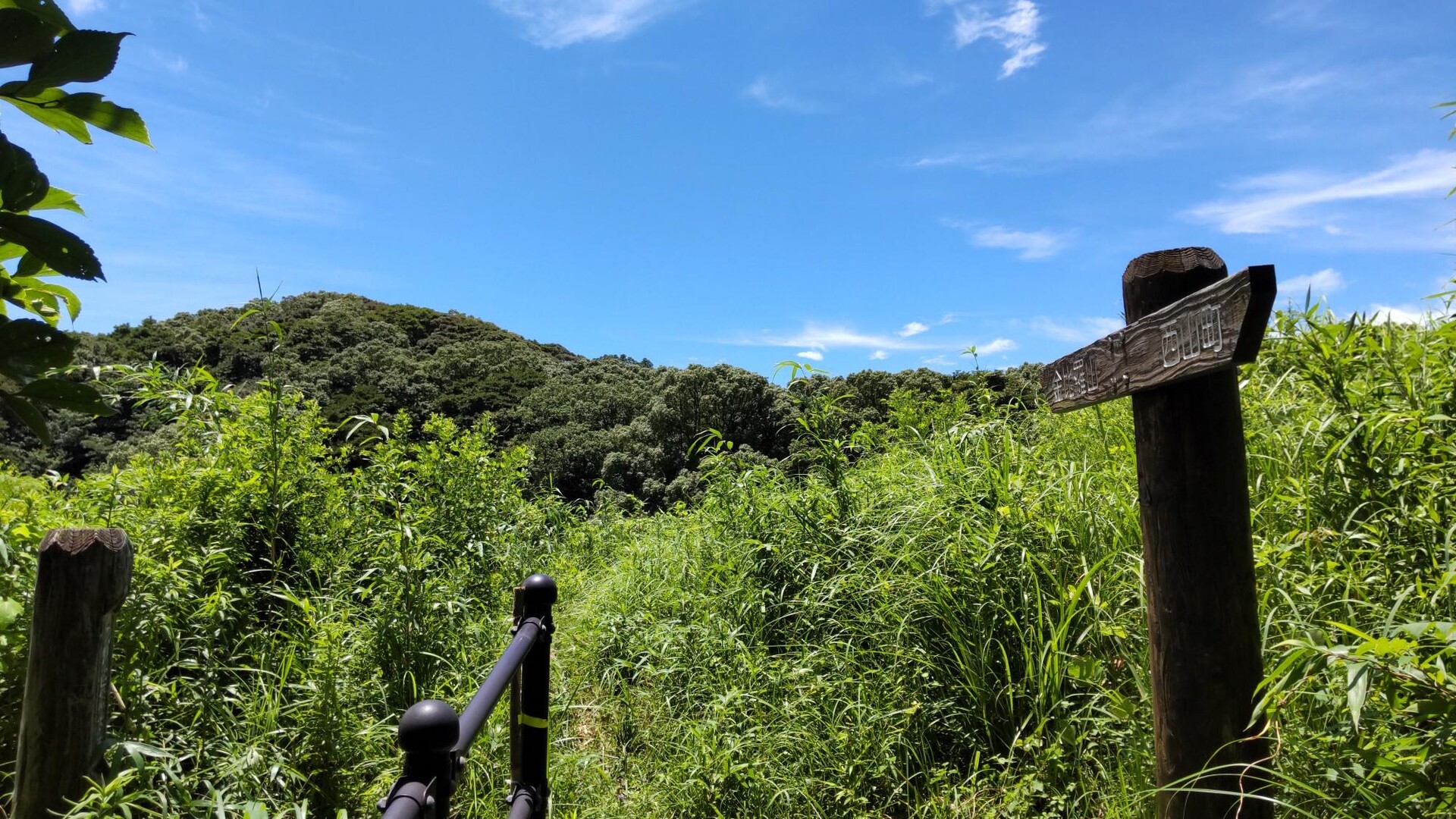 金比羅山・天狗山 / issaさんの金比羅山・烽火山・英彦山の活動データ | YAMAP / ヤマップ