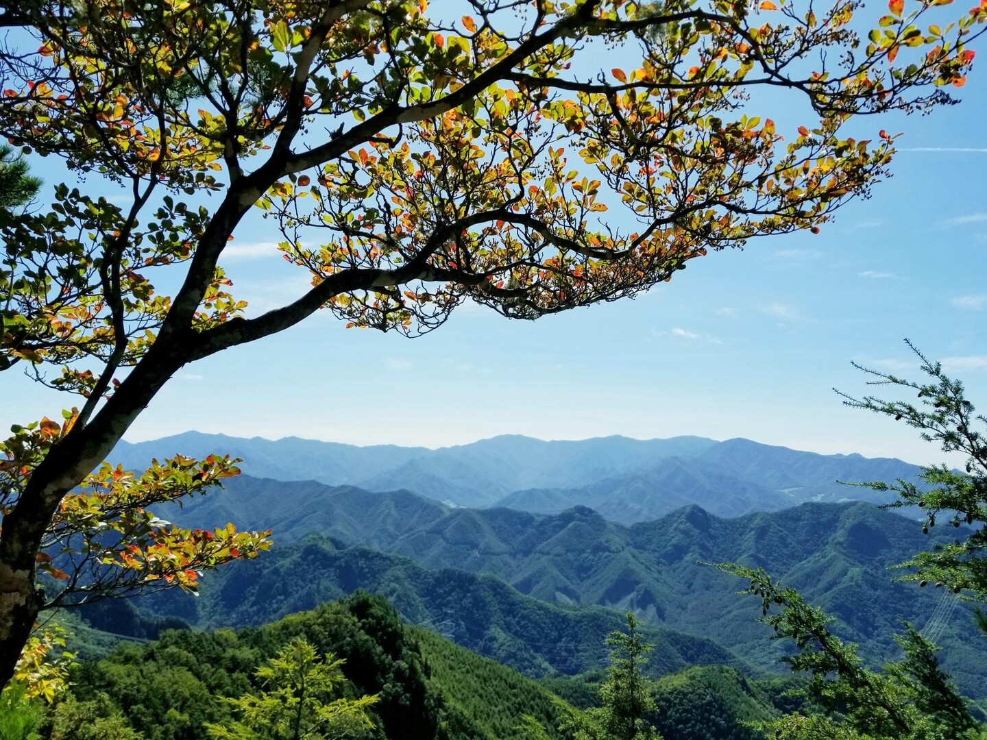 yamanamiさんの投稿したフィールドメモ | YAMAP / ヤマップ