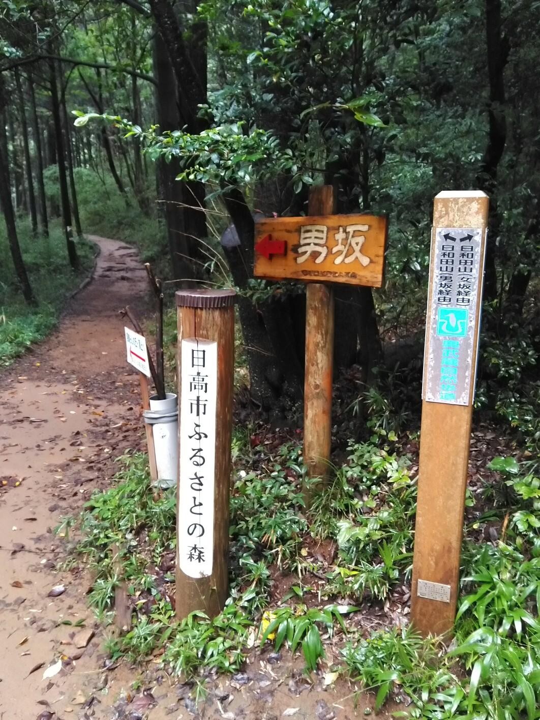 日和田山・高指山・物見山・小瀬名富士・東ムカイ山 / msjさんの日和田山・物見山の活動データ | YAMAP / ヤマップ