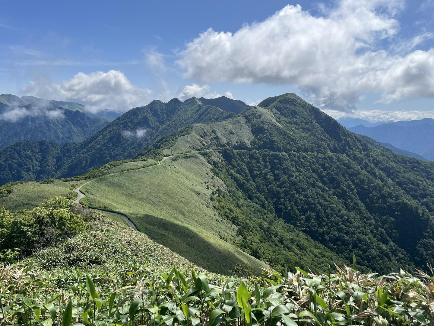 男山・瓶ヶ森・西黒森・自念子ノ頭・東黒森・伊予富士 / Amiさんの瓶ヶ森・伊予富士の活動データ | YAMAP / ヤマップ