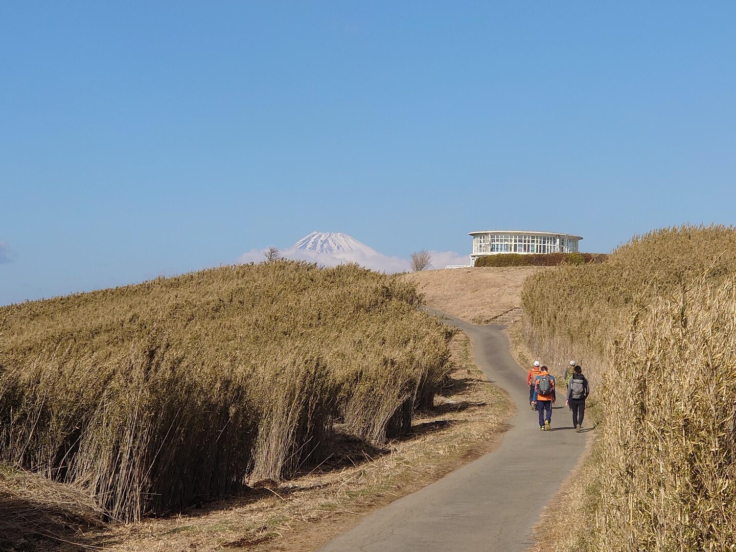 十国峠 〜ぶらり熱海 24H〜 / mieeさんの岩戸山・日金山（十国峠）の活動データ | YAMAP / ヤマップ
