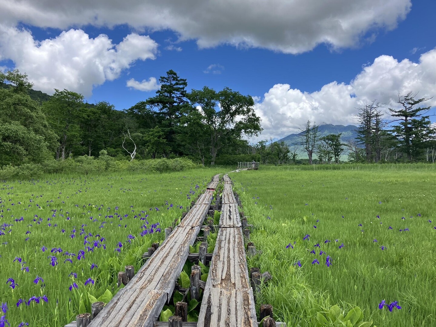 腹減ったな〜夏はアルプス、利尻をひかえて... / myちんさんのモーメント | YAMAP / ヤマップ