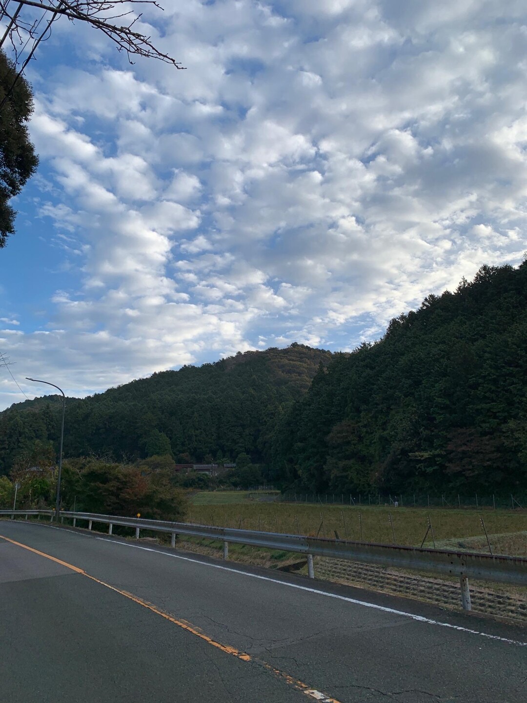 鳥川ホタルの里山歩き (24座) / jimきちさんの額堂山・水晶山・京ヶ峯の活動データ | YAMAP / ヤマップ