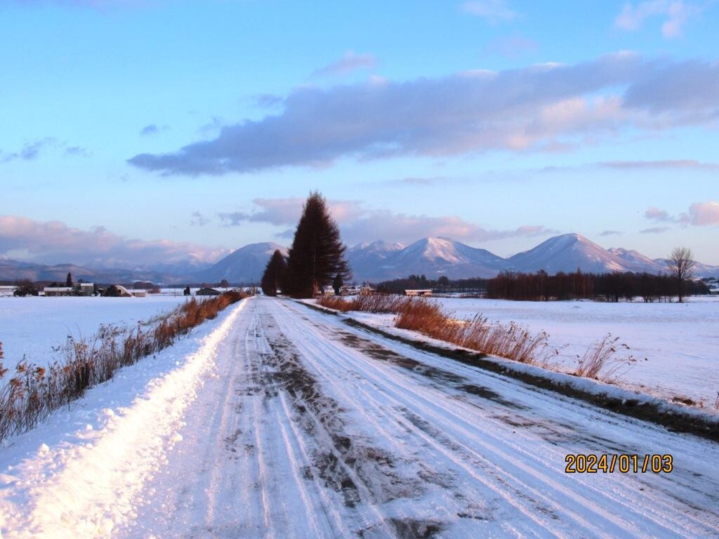 ランニング-2024-01-03 / miyaさんのランニングの活動データ | YAMAP / ヤマップ