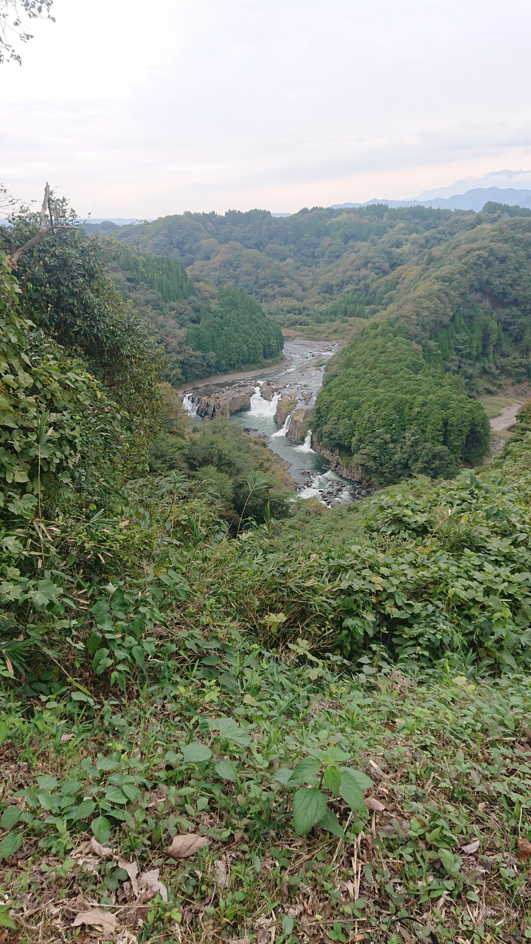 蝙蝠滝 橋の上から見れるダイナミックな滝... / nappiさんのモーメント | YAMAP / ヤマップ