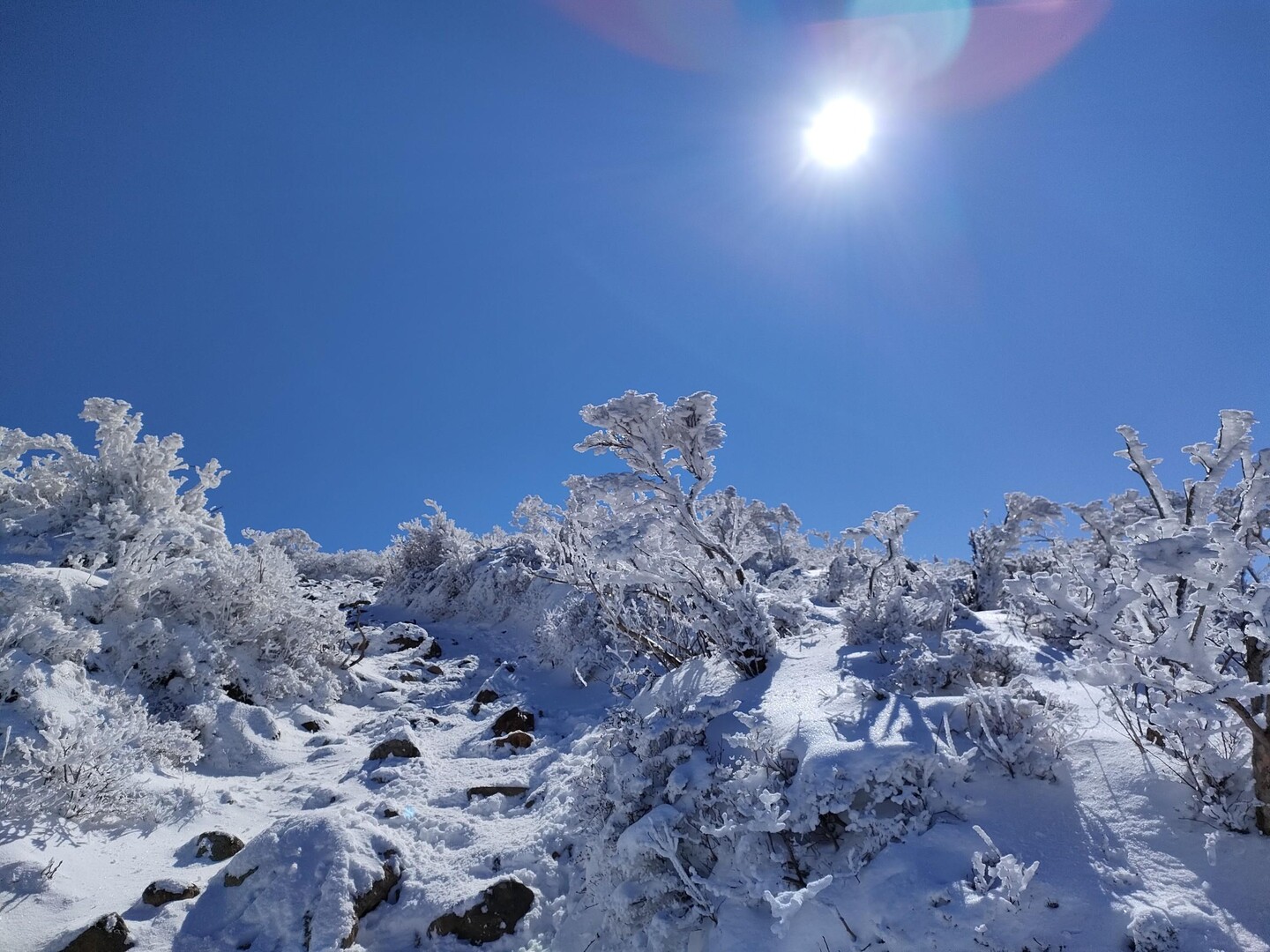 雪山は楽しい / 山遊び人 komeさんの霧島山・韓国岳・高千穂峰・夷守岳・烏帽子岳の活動データ | YAMAP / ヤマップ