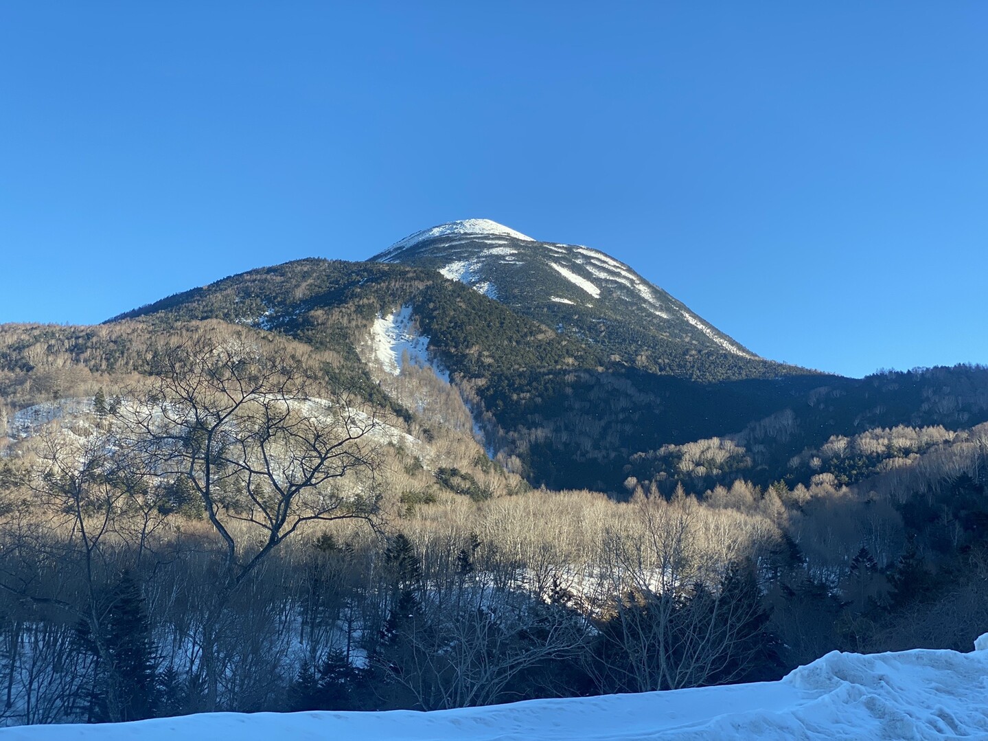 朝のJ-wave聴きならがお散歩蓼科山 / Billyさんの霧ヶ峰・車山・大笹峰の活動データ | YAMAP / ヤマップ