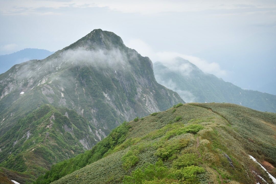 本日の大源太山⛰は雨☂️でガッスガス。 ... / akiさんのモーメント | YAMAP / ヤマップ