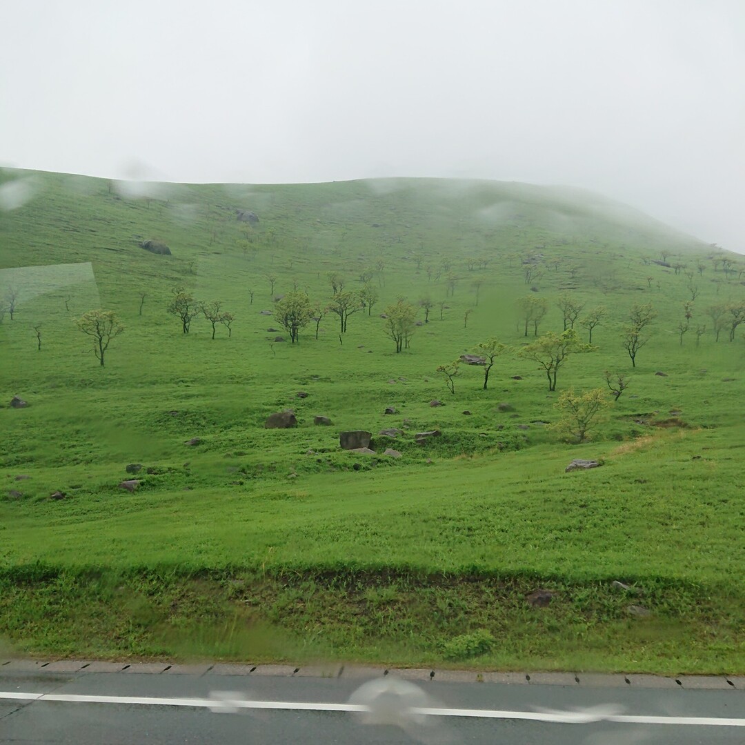 由布岳、登りたかったなぁ。 毎日毎日働い... / zuccoさんのモーメント | YAMAP / ヤマップ
