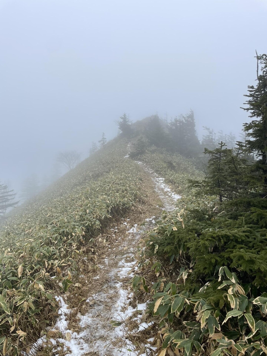 坊主山 / akorenaさんの坊主山の活動データ | YAMAP / ヤマップ