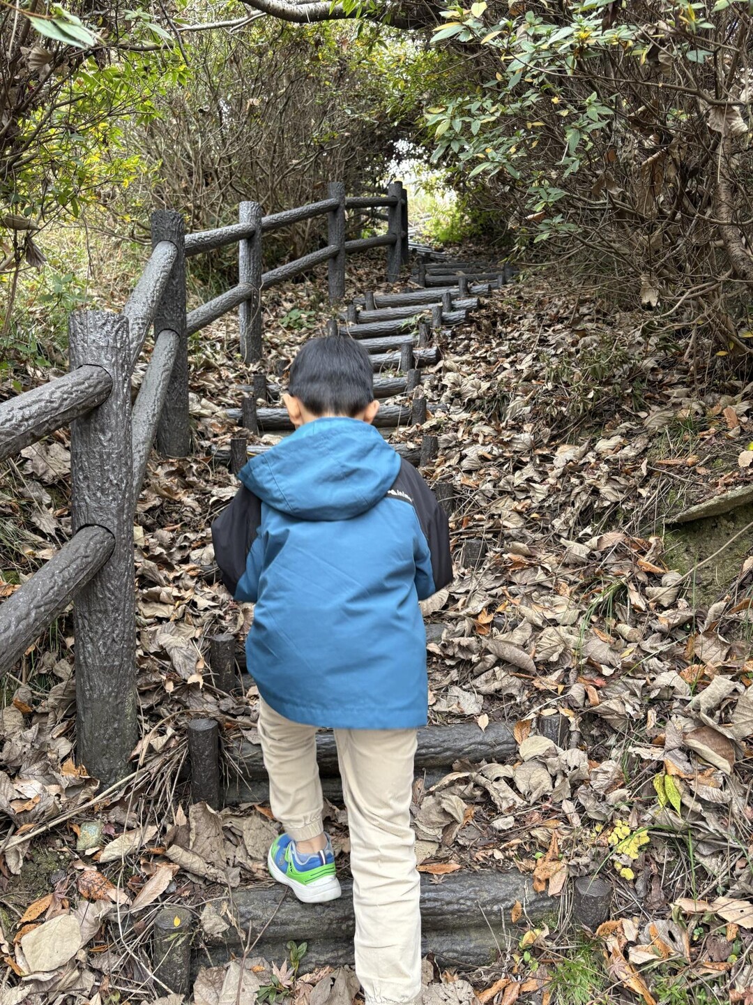 おかわり、大将陣山 / t@ke-bowさんの弥山岳の活動データ | YAMAP / ヤマップ