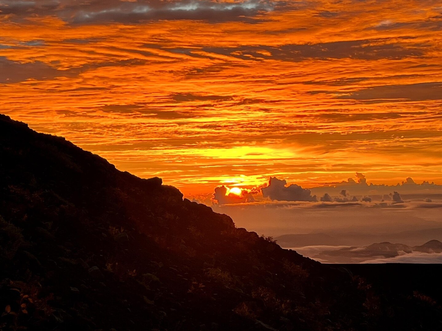 富士山登山ルート3776から北口本宮冨士浅間神社へ / oba-gさんの富士山登山ルート3776 1日目コースの活動データ | YAMAP / ヤマップ