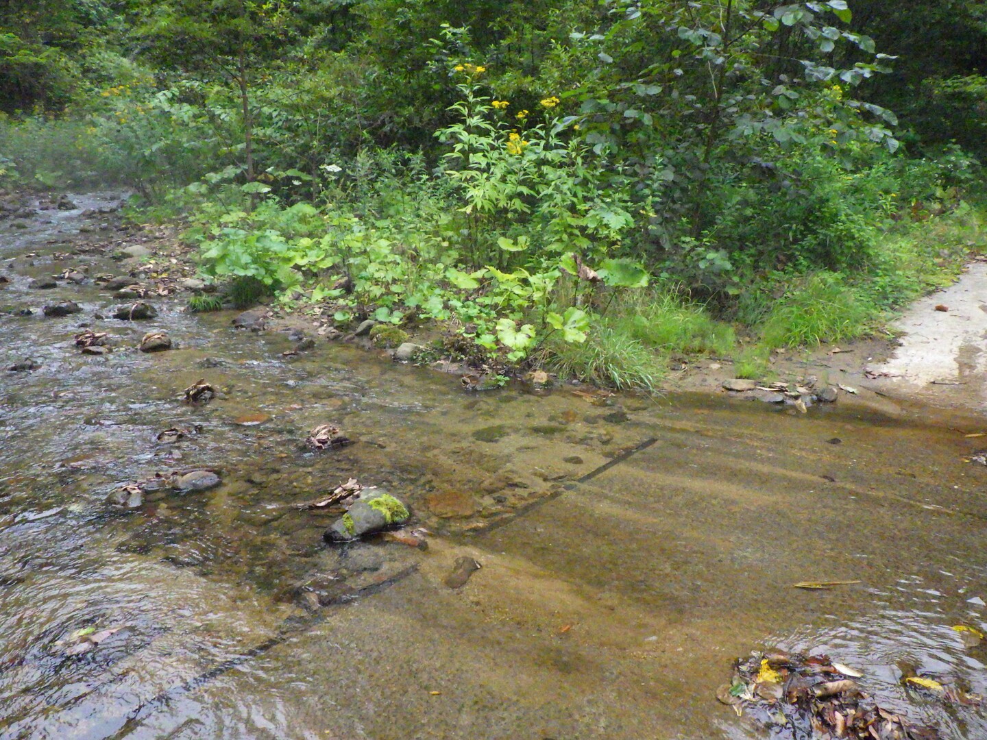 三九郎岳南東面沢_試登 / hynkさんの二股岳の活動データ | YAMAP / ヤマップ