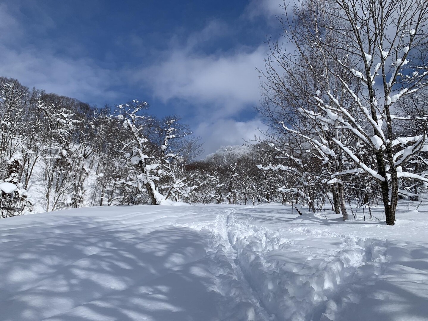 本日、中愛別山に行ってきました！ で、... / sho!!さんのモーメント | YAMAP / ヤマップ