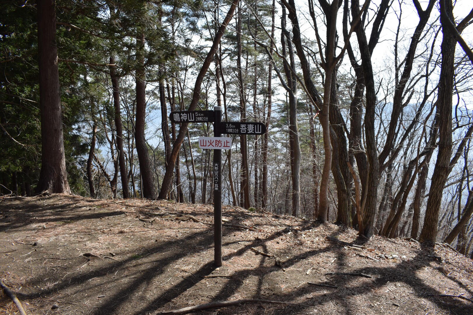 足慣らし、大形山 / 上毛かるたさんの鳴神山・吾妻山の活動日記 | YAMAP / ヤマップ