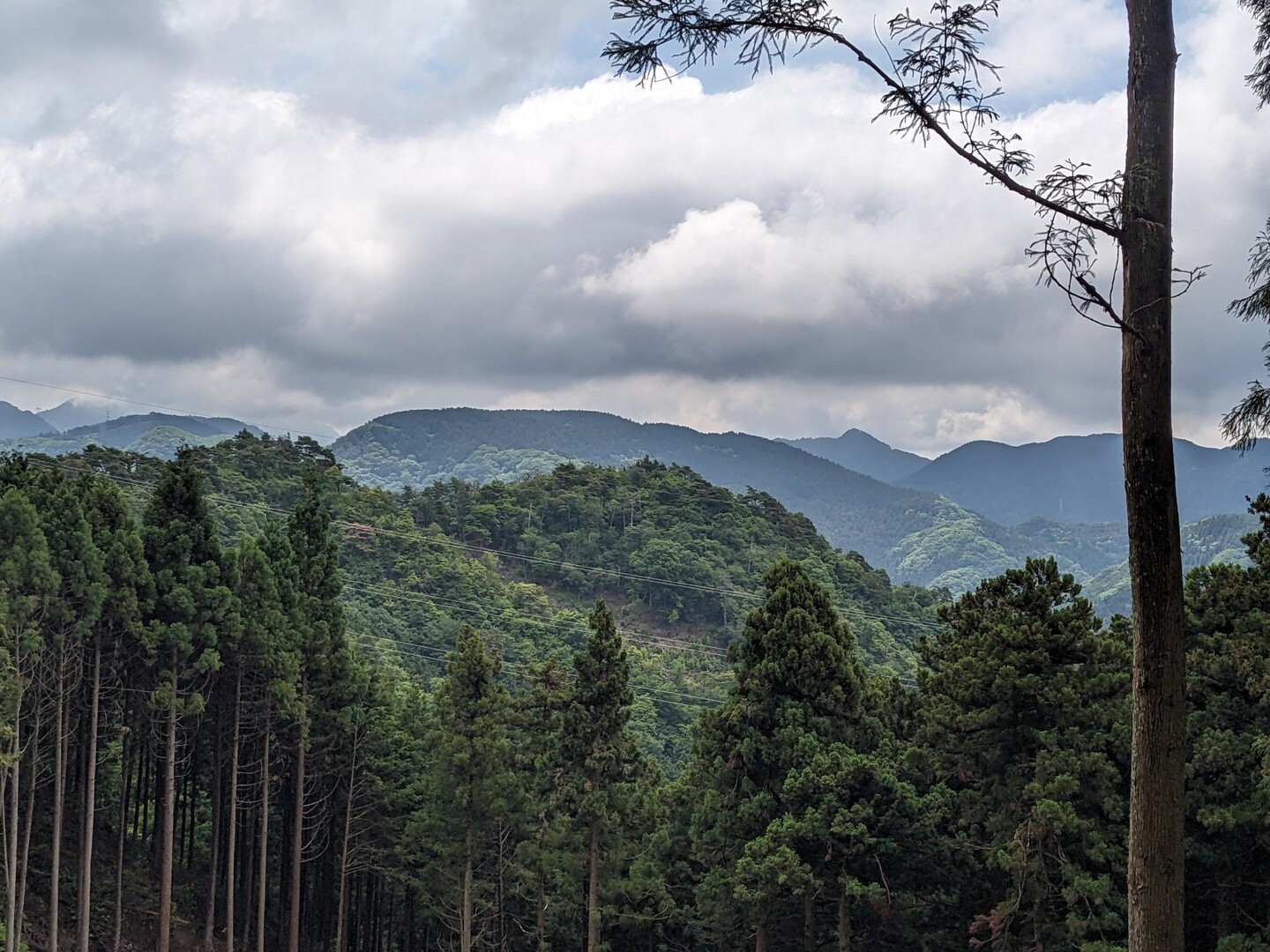 高畑山 / kyonさんの高室山の活動データ | YAMAP / ヤマップ
