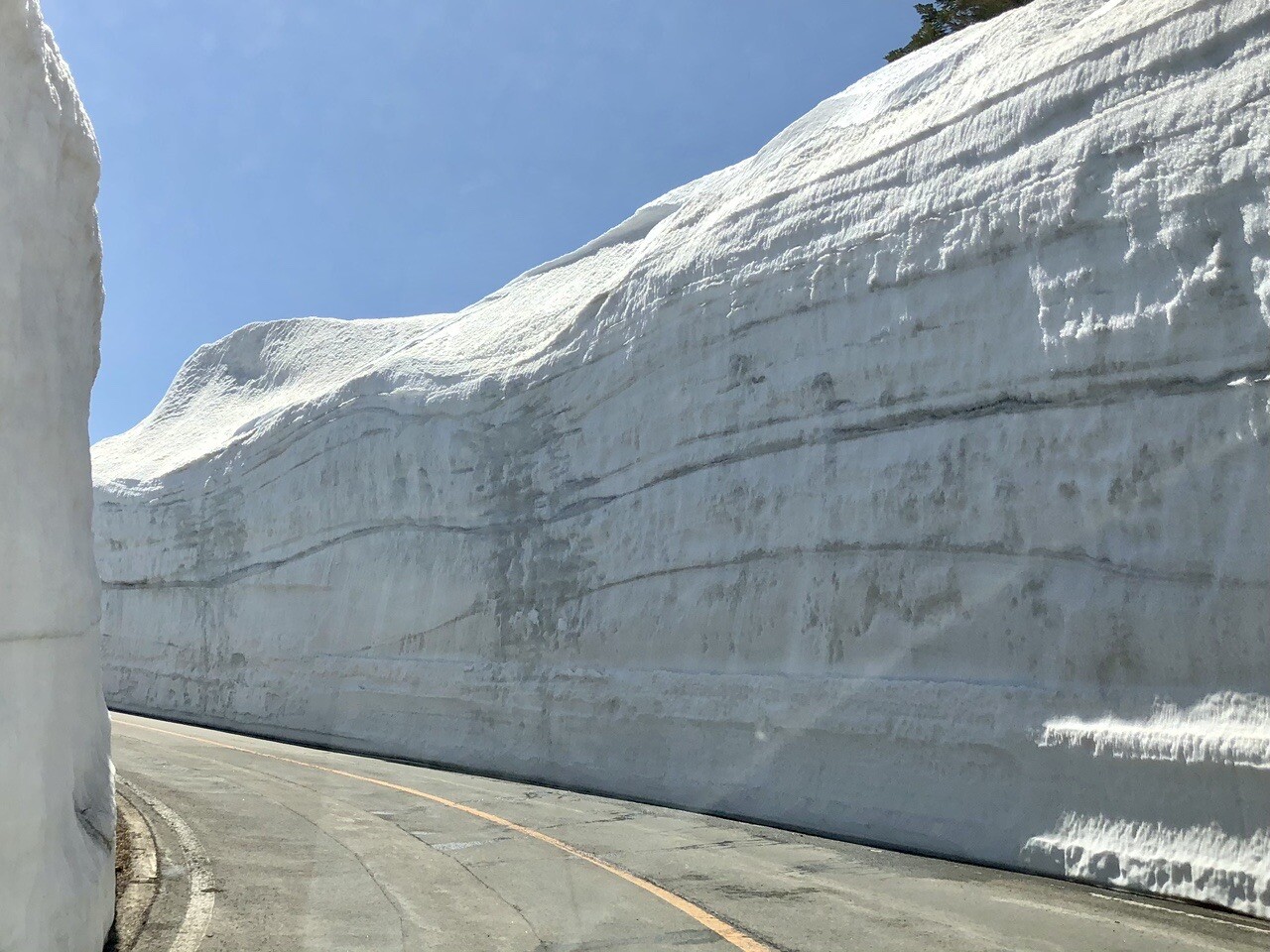 🎌蔵王エコーラインが開通しました🎌 ... / carolさんのモーメント | YAMAP / ヤマップ