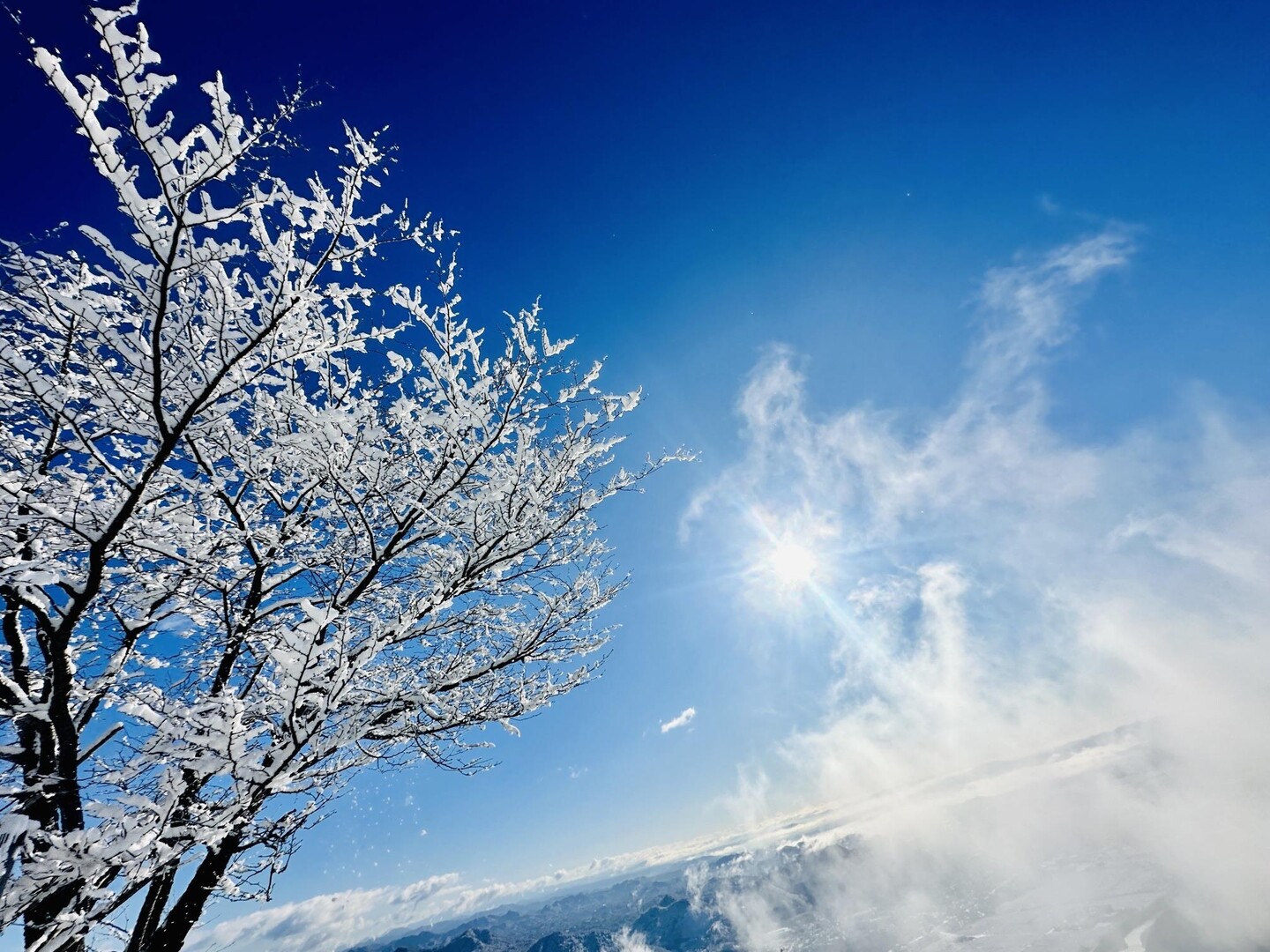 誕生山𓂃𖡼.*ﾟ / yu-ri-chan*さんの天王山・誕生山の活動データ | YAMAP / ヤマップ