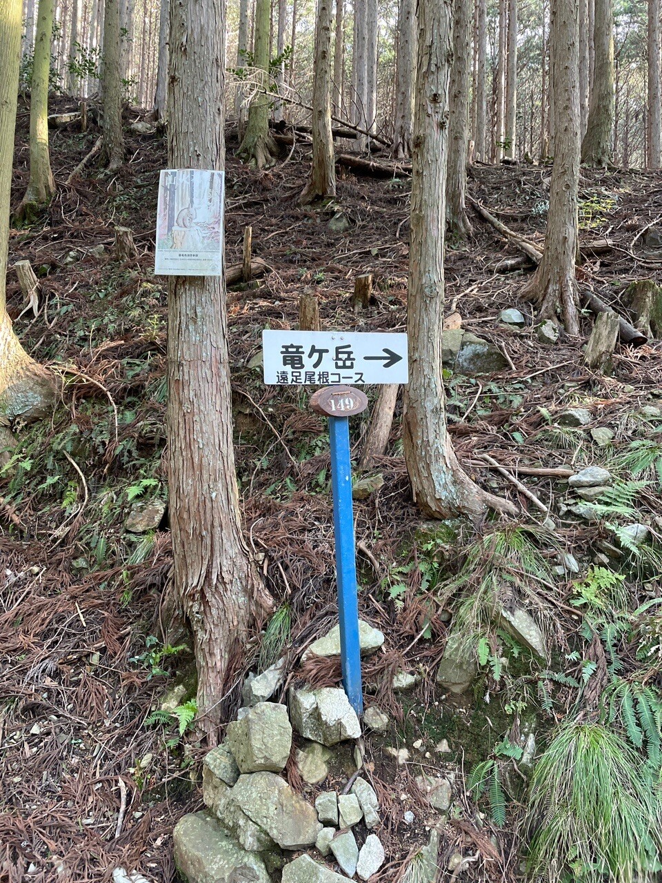 鈴鹿10座チャレンジ🙄本日は2座目にな... / マサヤンさんのモーメント | YAMAP / ヤマップ