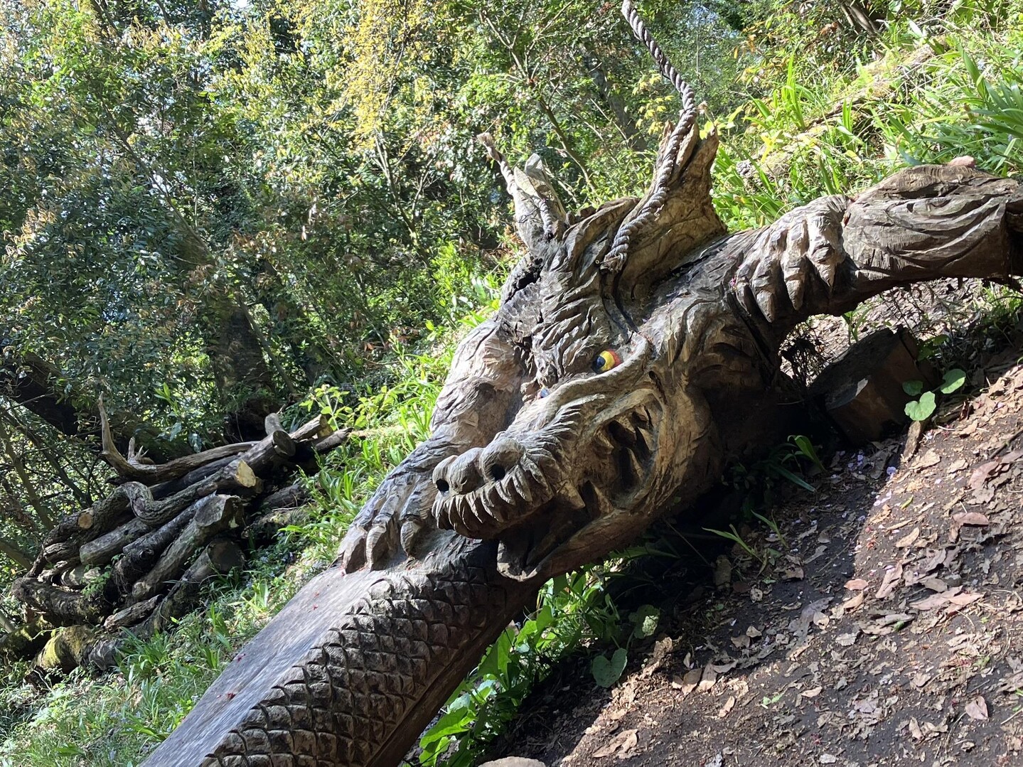 高尾山域🌀22k / 高尾人さんの高尾山・陣馬山・景信山の活動データ | YAMAP / ヤマップ