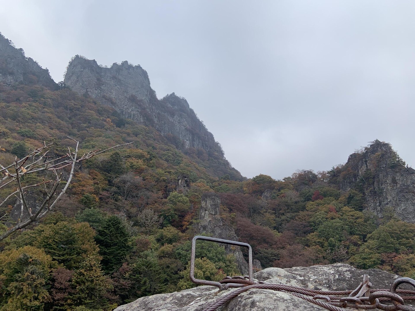 妙義山🍁⛓️＋お散歩 / mini.TMKさんの妙義山・天狗岳・相馬岳の活動データ | YAMAP / ヤマップ