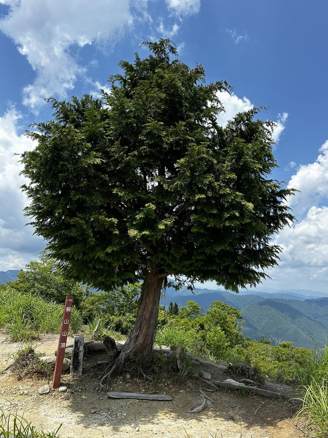 蕪山 / kaomi-ruさんの蕪山の活動データ | YAMAP / ヤマップ