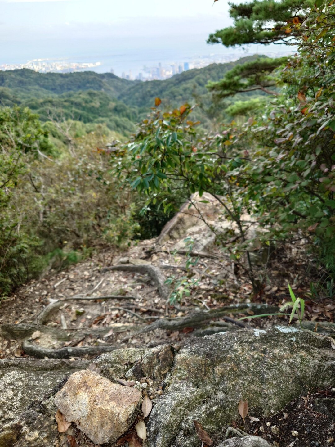 くまきちGuest_623273さんの投稿したフィールドメモ | YAMAP / ヤマップ