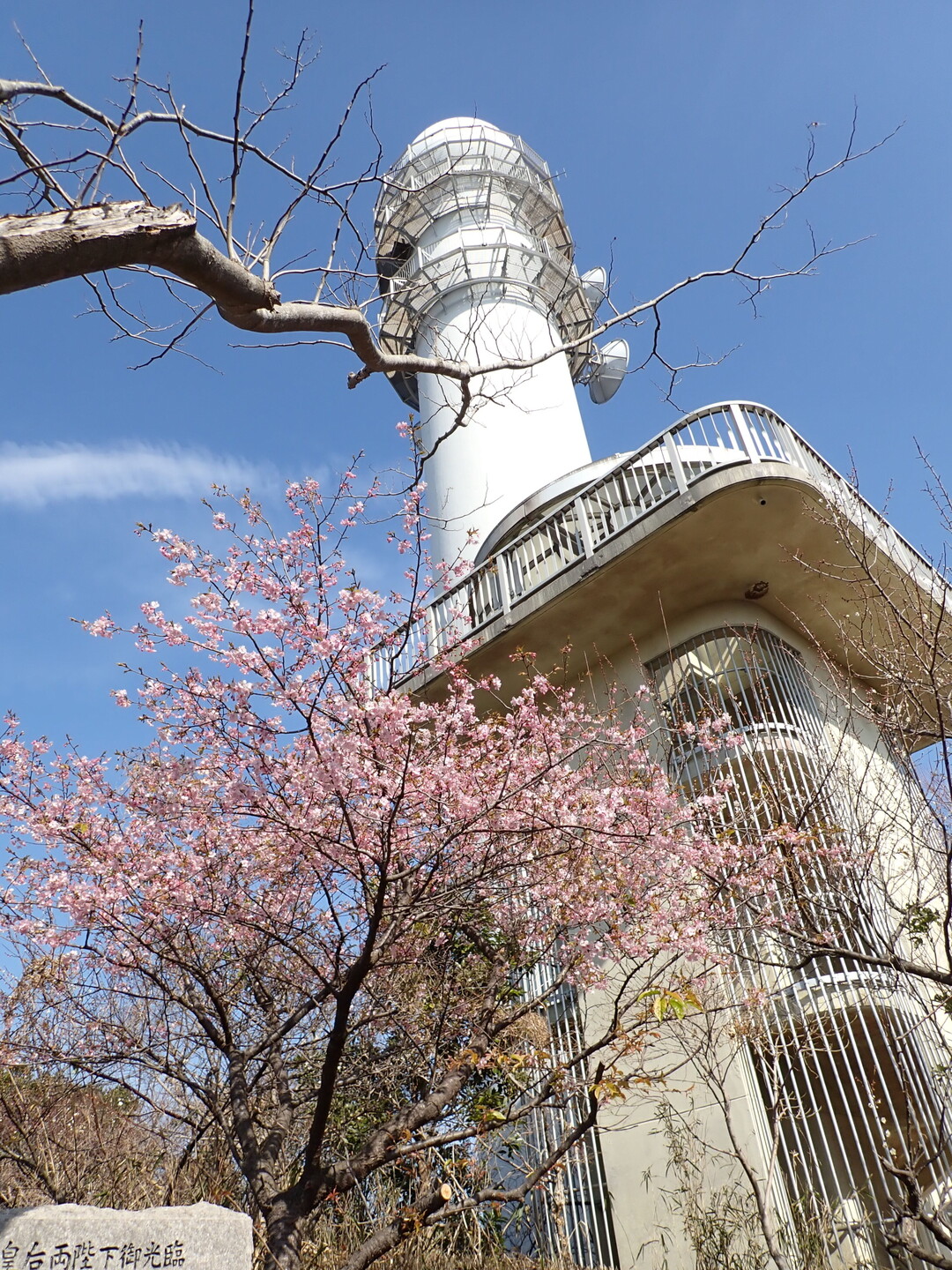 《神奈川》大楠山 / nazさんの大楠山・武山・三浦富士の活動データ | YAMAP / ヤマップ