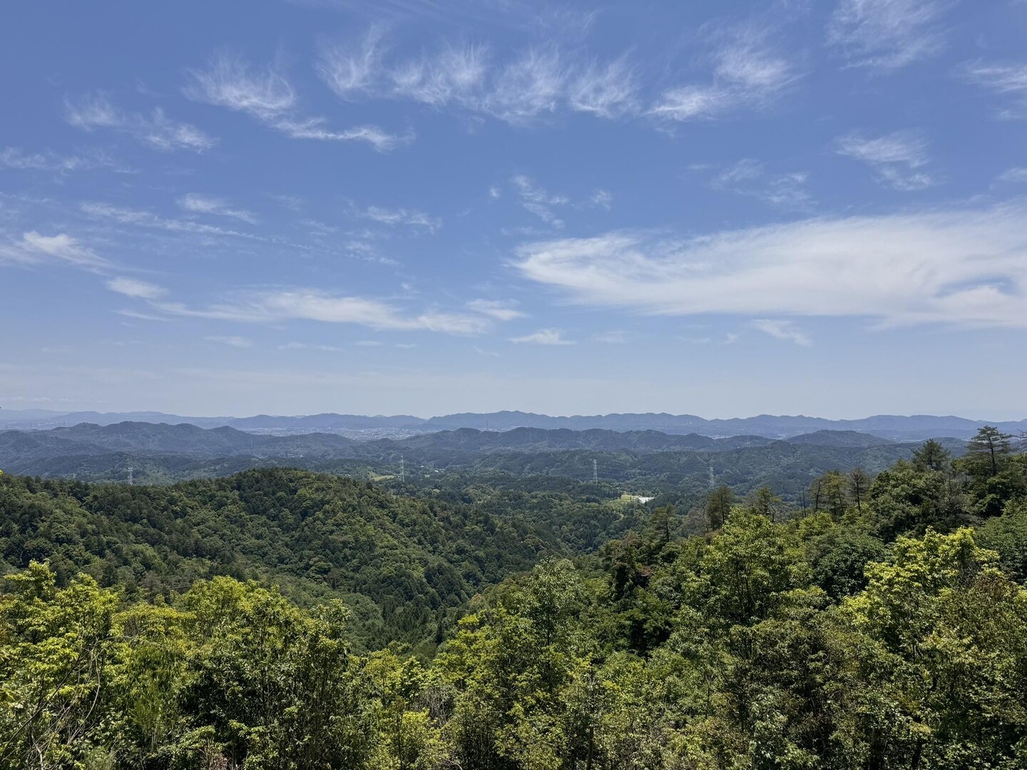 高沢山・大仏山・本城山 / mikiさんの高沢山・平成山・高曝山の活動データ | YAMAP / ヤマップ