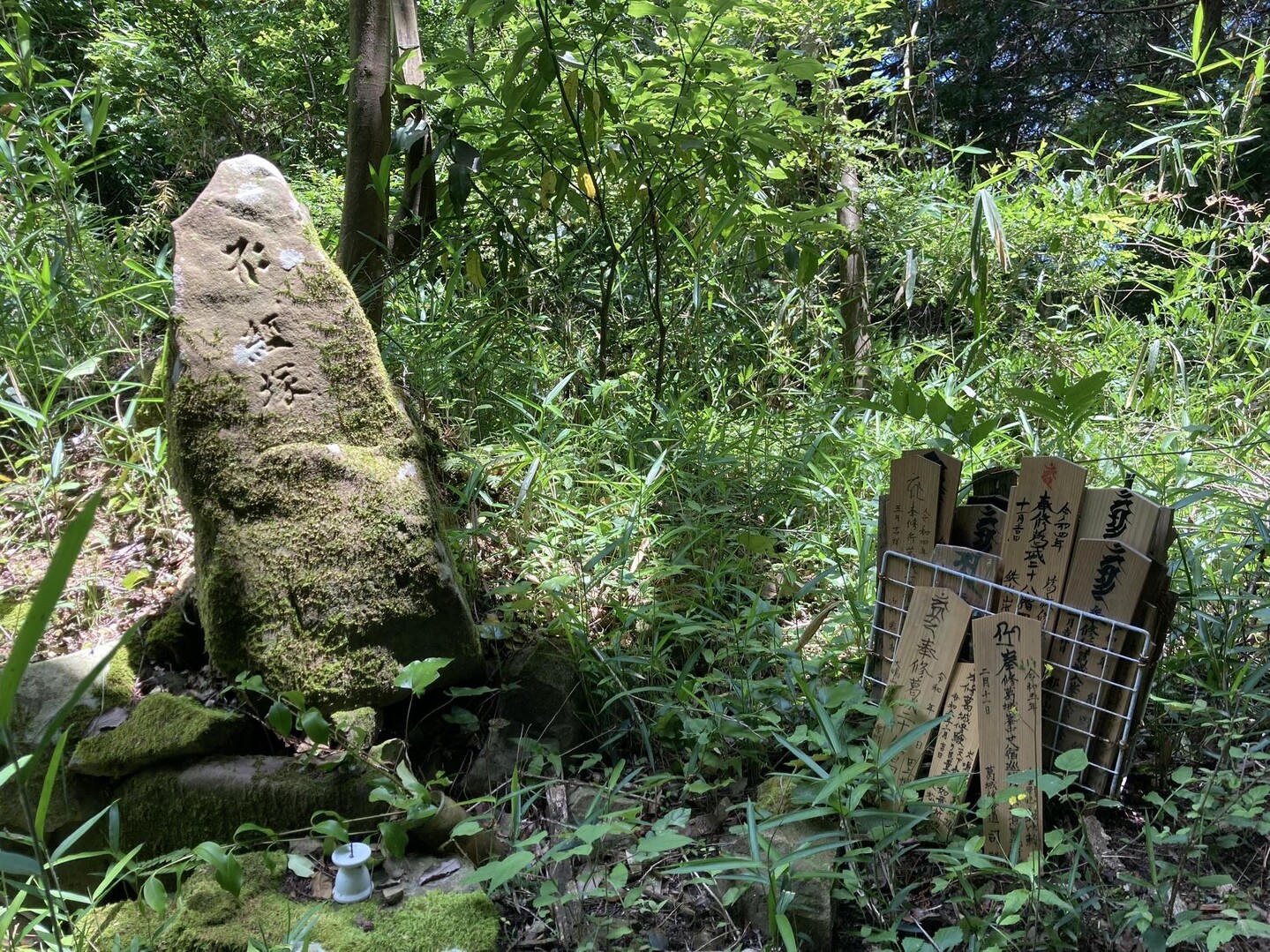 第六経塚「志野峠 授記品」 / maecciさんの葛城修験エリアマップ（友ヶ島～和泉山脈周辺）の活動データ | YAMAP / ヤマップ