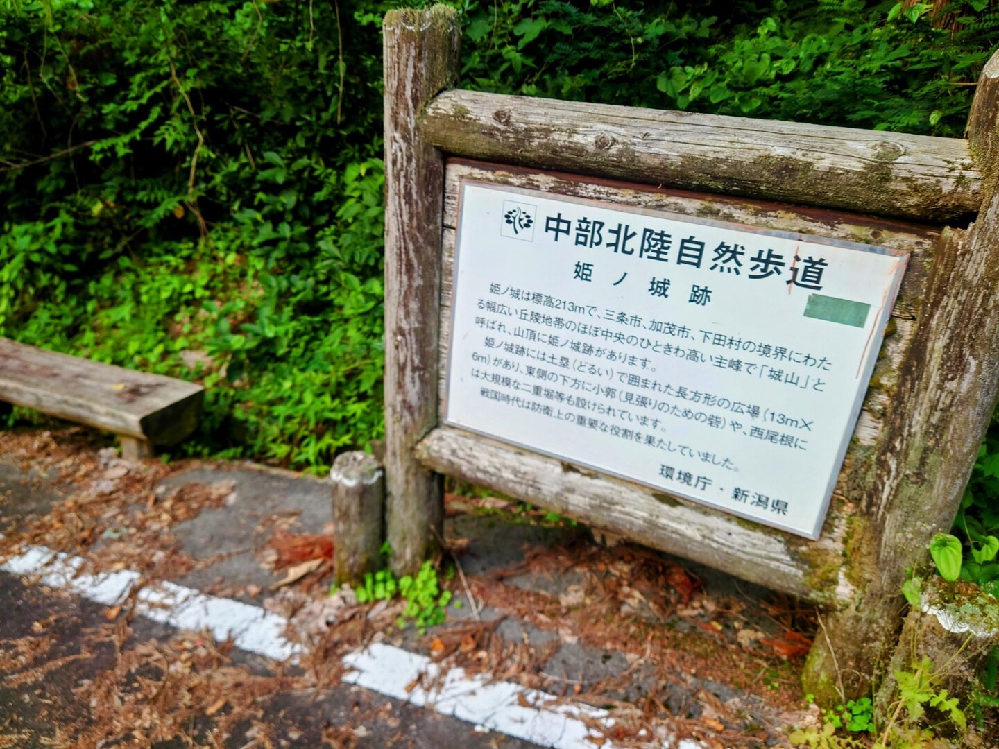 姫ノ城山-2023-06-13 / ホリエモン1000さんの三条市の活動データ | YAMAP / ヤマップ