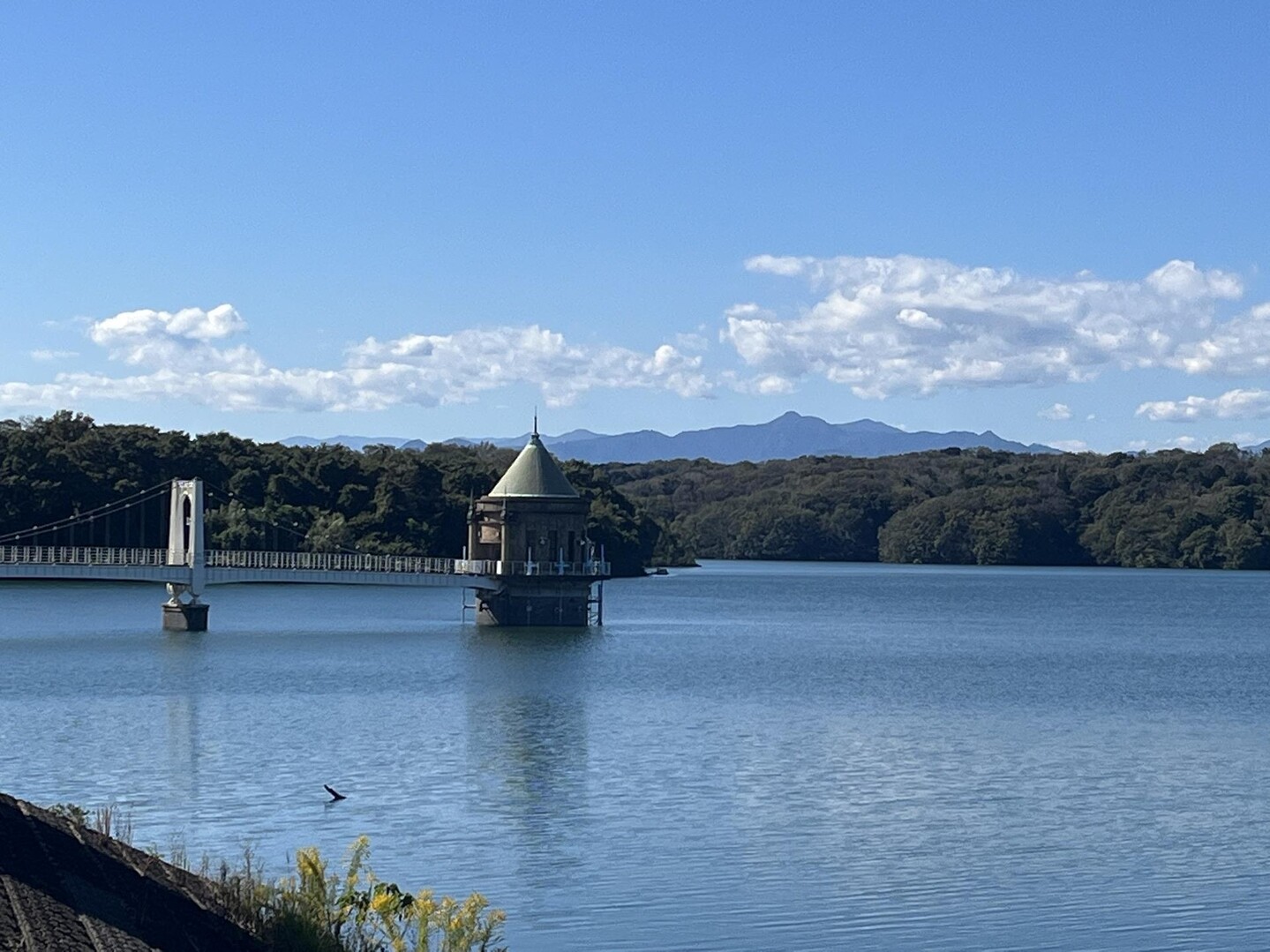 狭山湖3周 / fumさんの六道山 ・多摩湖・狭山湖の活動データ | YAMAP / ヤマップ