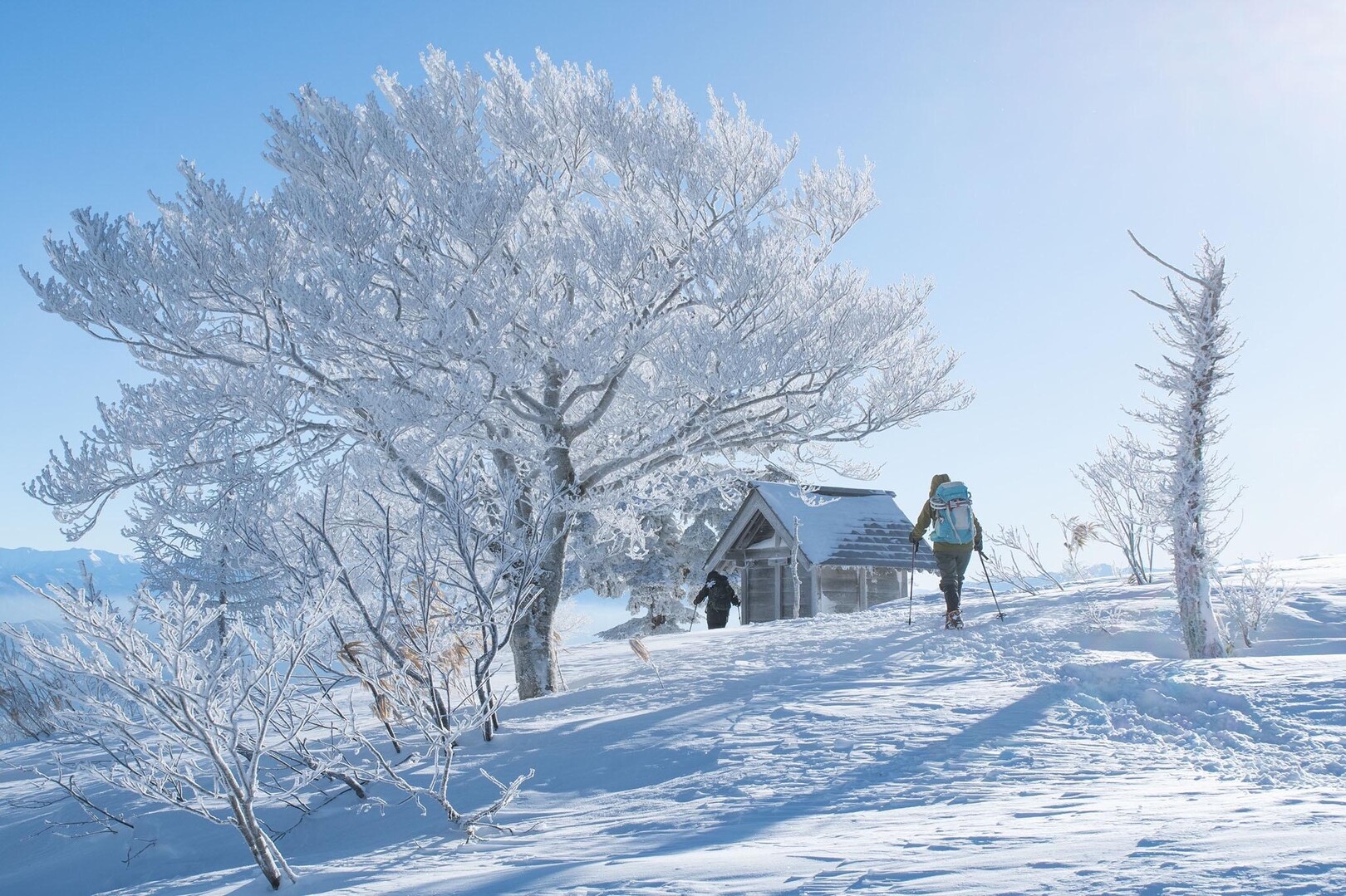 猪臥山 / M K1218さんの猪臥山の活動データ | YAMAP / ヤマップ