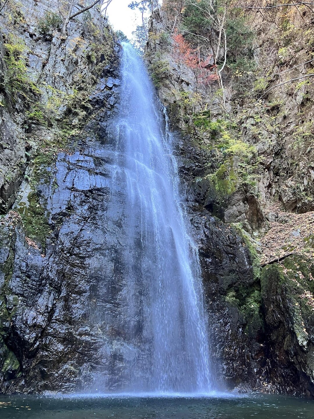 川苔山（川乗山）・鋸尾根Ⅰ峰 / hacciさんの川苔山（川乗山）の活動データ | YAMAP / ヤマップ